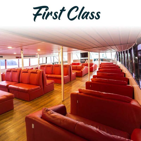 Day Trip Phi Phi Island Premium Cruise Big Boat From Rassada