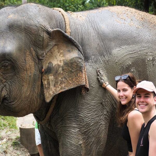 Half Day Visit Elephant Jungle Sanctuary Experience Koh Samui